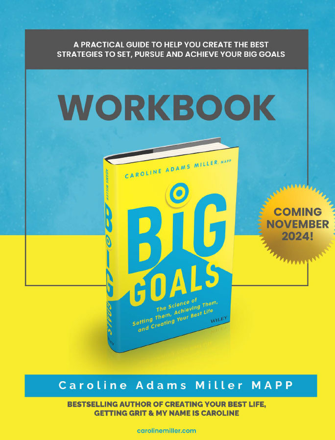 Workbook - Big Goals